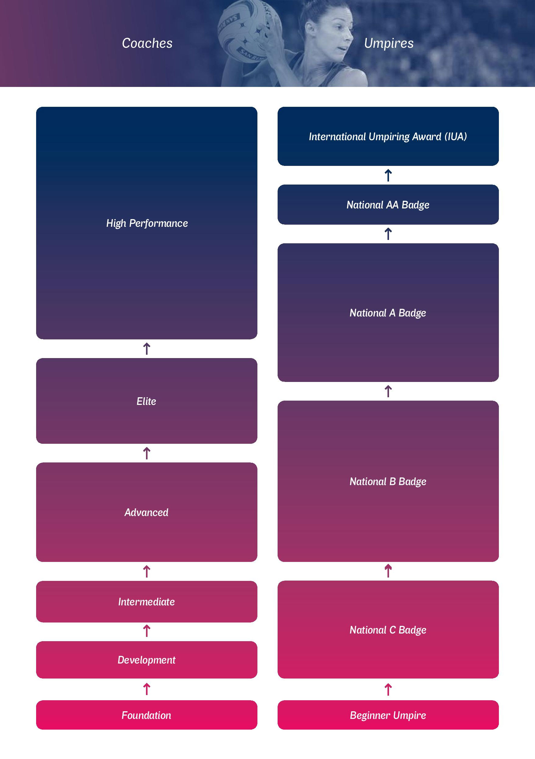 Pathway – Frankston District Netball Association