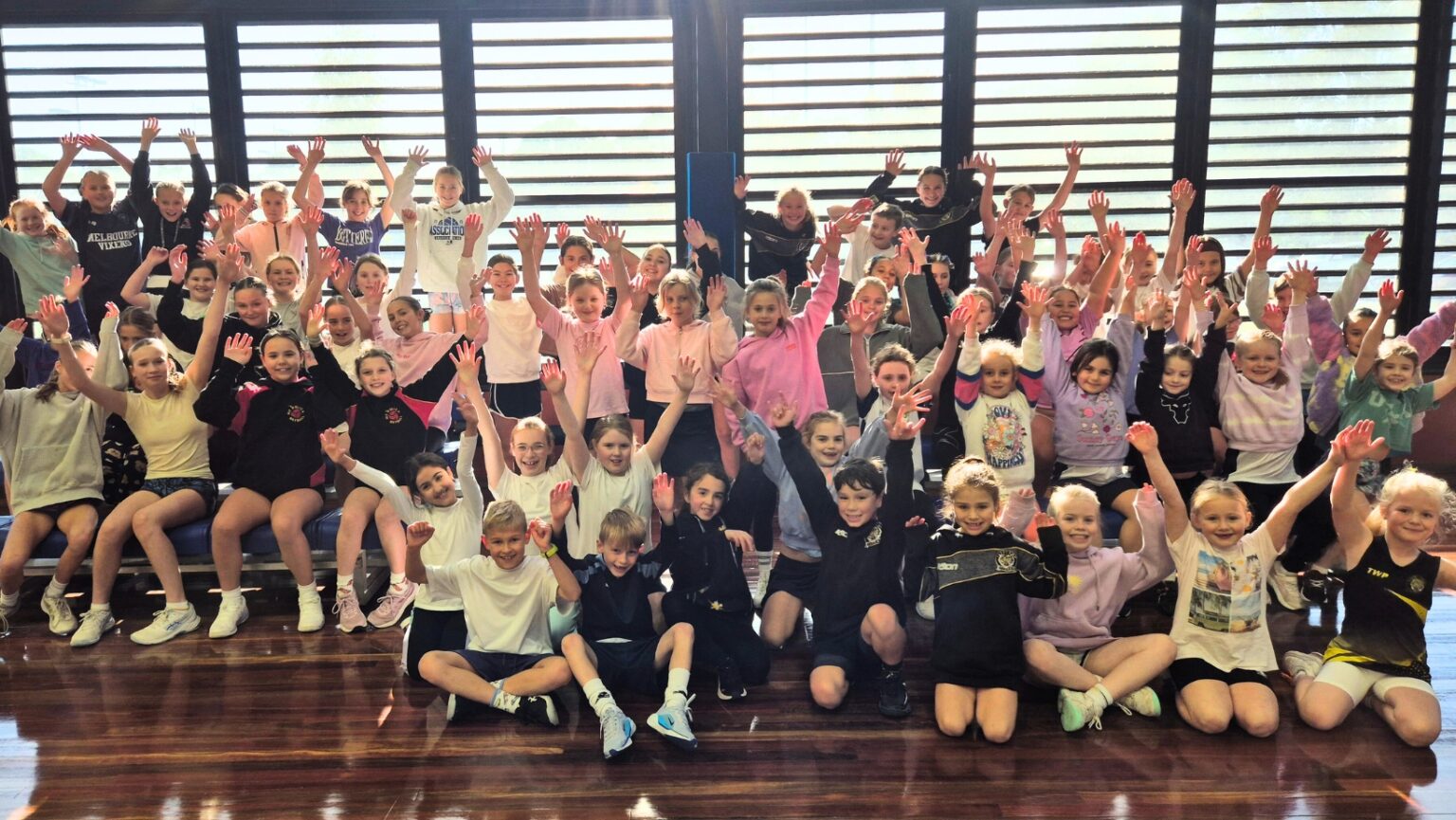 Frankston District Netball Association – enriching our community ...