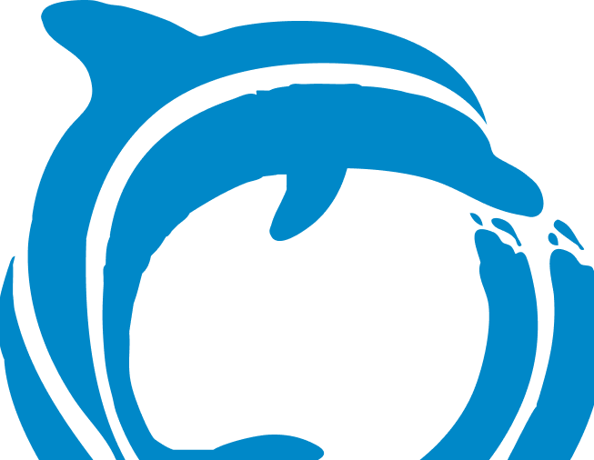 Feedback – Frankston District Netball Association